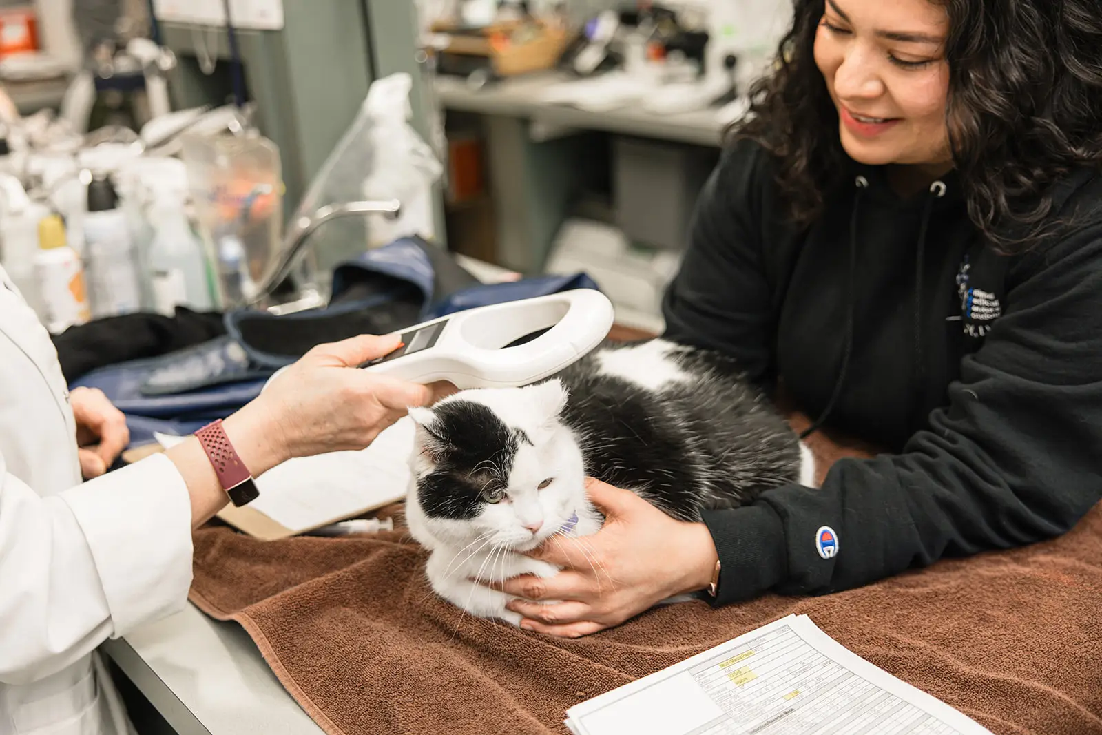 Veterinary Care in Ashburn, VA & Brambleton, VA | Animal Medical ...