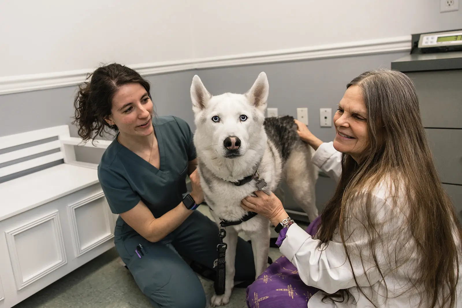 Animal Medical Centers Of Loudoun